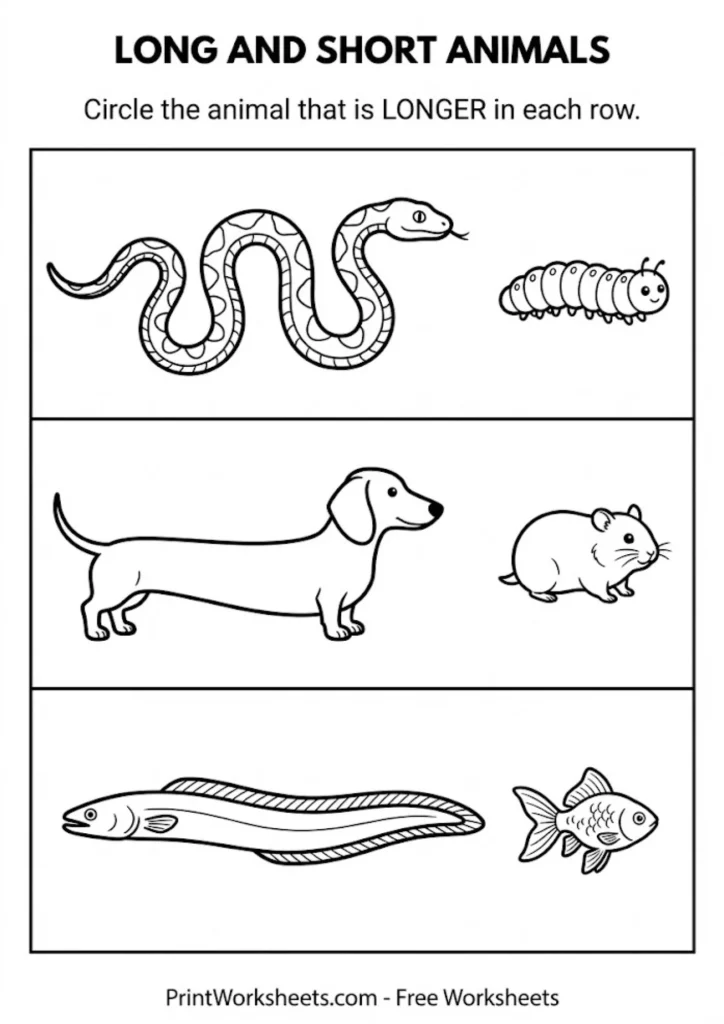 Free Long and Short Animals Worksheet - Preschool Math (PDF) - Print ...