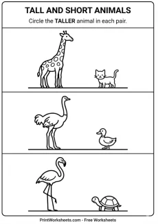 Free Tall vs Short Worksheets - Height Comparison Activities (PDF)