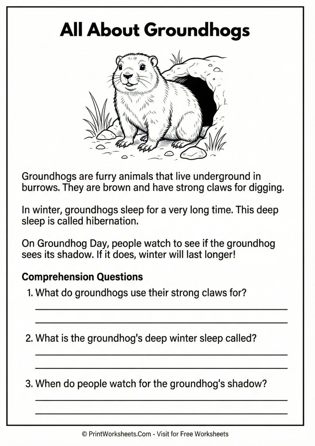 Free Groundhog Day Reading Comprehension & Hibernation Worksheets