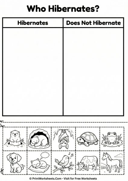 Free Groundhog Day Reading Comprehension & Hibernation Worksheets