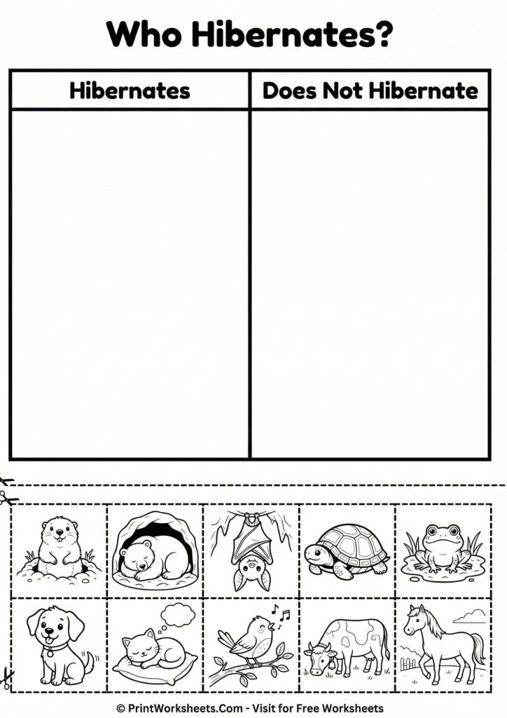 Free Groundhog Day Reading Comprehension & Hibernation Worksheets