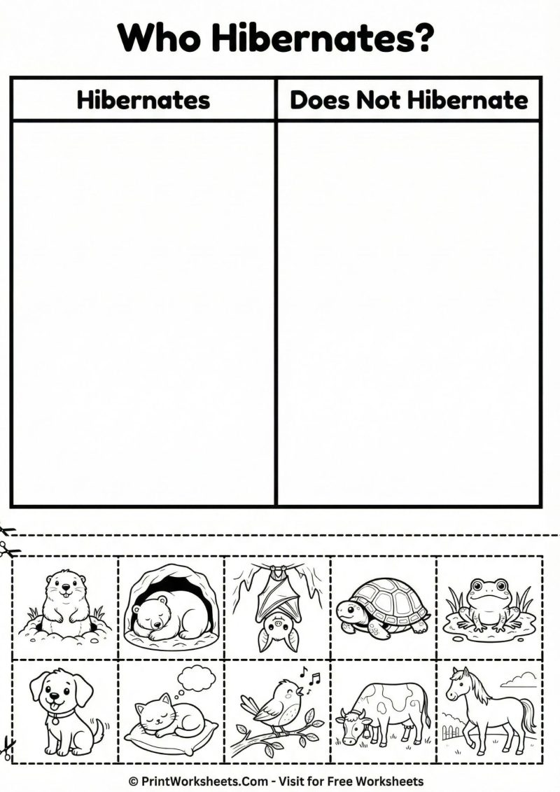 Free Groundhog Day Reading Comprehension & Hibernation Worksheets