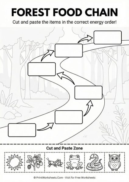 Food Chain & Ecosystem Worksheets PDF (Free Earth Day Activity)