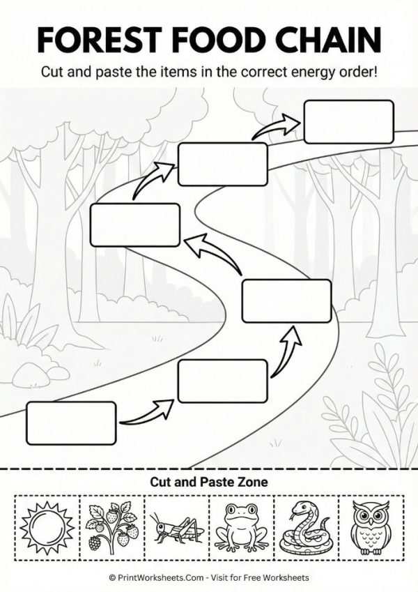 Food Chain & Ecosystem Worksheets PDF (Free Earth Day Activity)