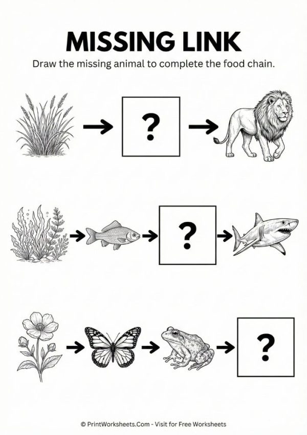 Food Chain & Ecosystem Worksheets PDF (Free Earth Day Activity)